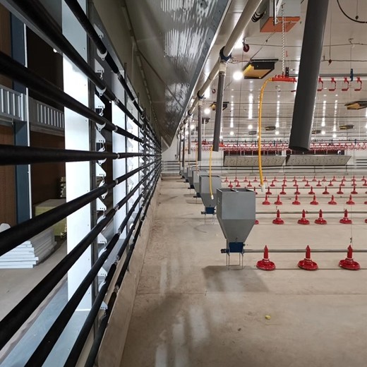 Quality Broiler Automatic Feeder Chain Feeding System Poultry for sale