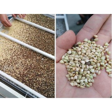 Quality Buckwheat Peeling Grain Cutting Machine Automatic Huller Production Line for sale