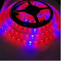 Quality Seed Starting Lamp Body Material PC Led Grow Light Strip with 5050 Dc 12v/24v for sale