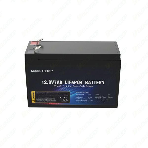 Quality Lifepo4 Rechargeable Lithium Battery Pack for sale