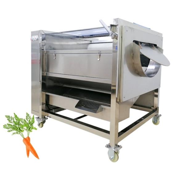 Quality Large Scale Production Fruit Vegetable Processing Equipment with 220V Voltage for sale