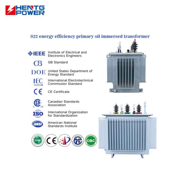 Quality 11kV 100kVA 200kVA 315kVA 3 Phase Oil Immersed Power Transformer 220V to 380V Step-Up Transformer Manufacturer for sale