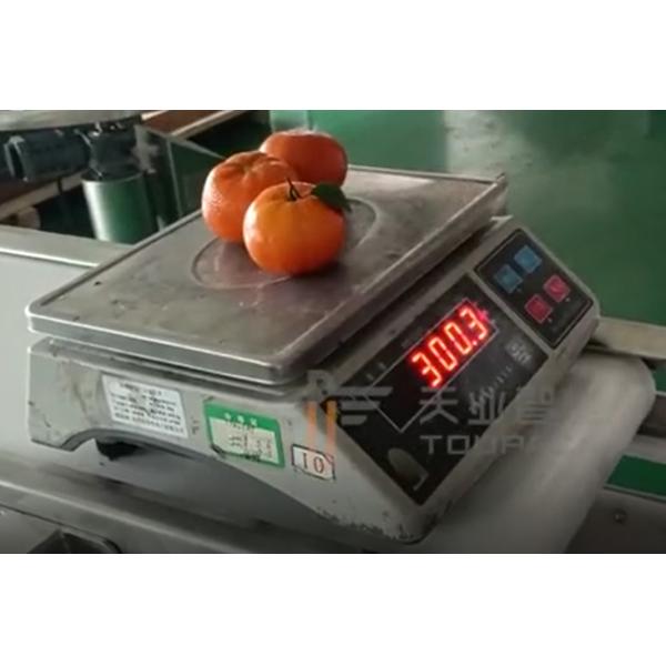 Quality PLC Multihead Weigher Packing Machine Speed Belt Scale For Fresh Orange for sale