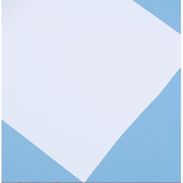 Quality 6um 10um Label Advertising Opaque MPET White PET Film for sale