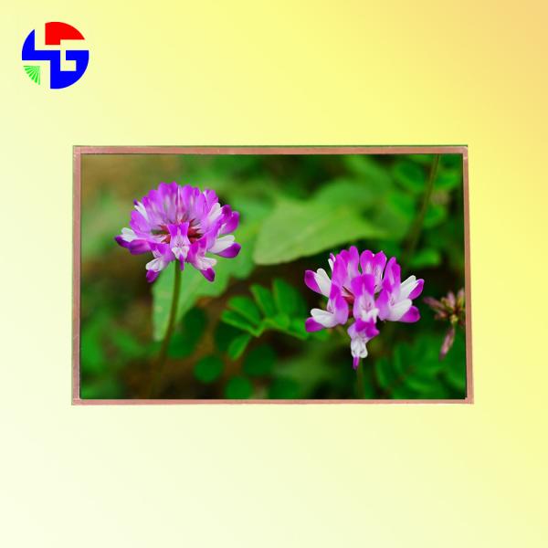 Quality 10.1 Inch LVDS Interface 40 Pin TFT LCD Display 1280x800 for sale