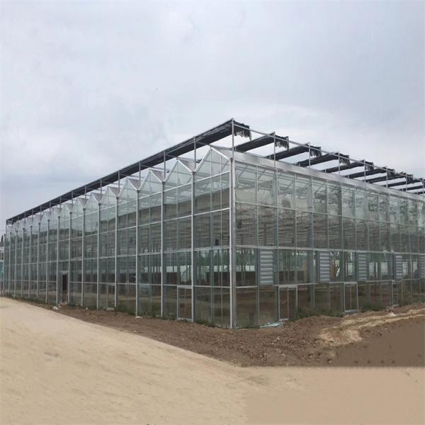 Quality UV Protection Venlo Greenhouse Tent High Customizable for sale