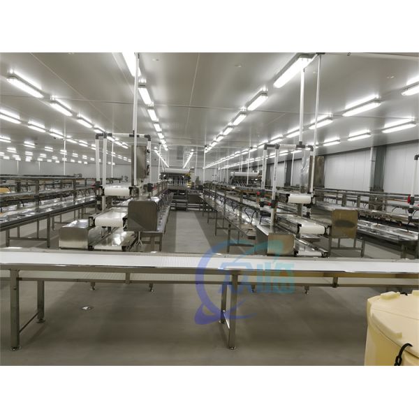 Quality 3KW Stable Shrimp Processing Machine 10000x1150x1550mm Practical for sale