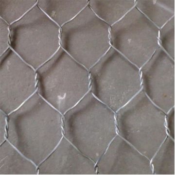 1/2 inch 1m Chicken Wire Mesh Roll Hot Dipped Galvanized Hexagonal Wire Mesh