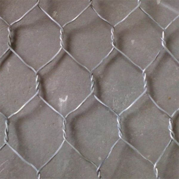 Quality 1/2 inch 1m Chicken Wire Mesh Roll Hot Dipped Galvanized Hexagonal Wire Mesh for sale