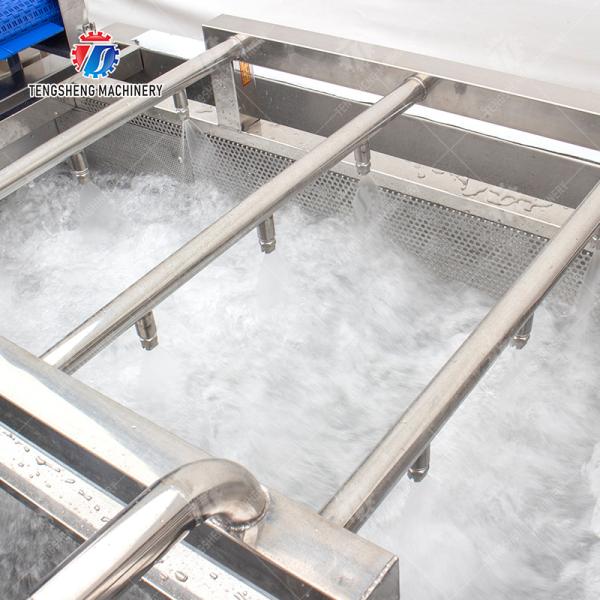 Quality Enhance Your Production with Our State-of-the-Art Fruit And Vegetable Processing for sale