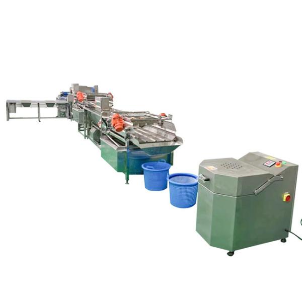 Quality Automatic 4.8kw 1500kg/H Fruit Vegetable Washing Machine for sale
