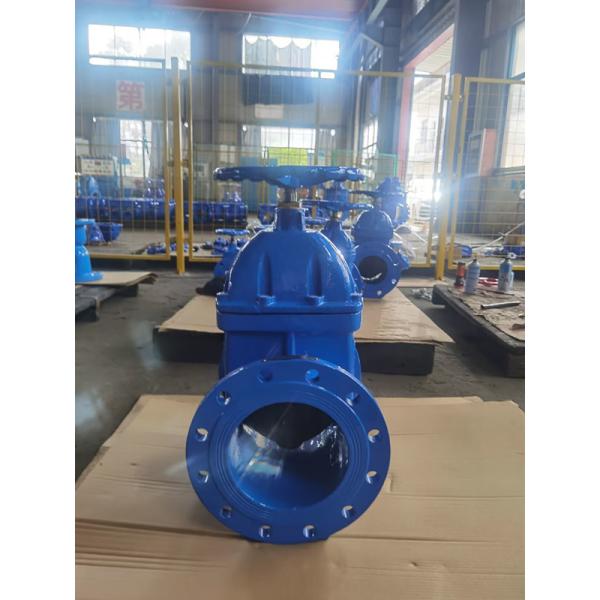 Quality Industrial Flanged F5 Gate Valve DN200 Ductile Iron for sale