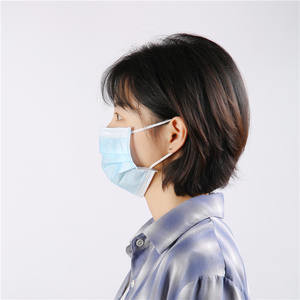 Quality Type II Cleanroom Disposable Earloop Face Mask for sale