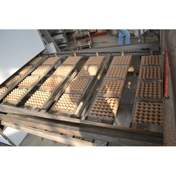 Quality Rotary Egg Tray Machine Waste Paper Recycling Machine for sale