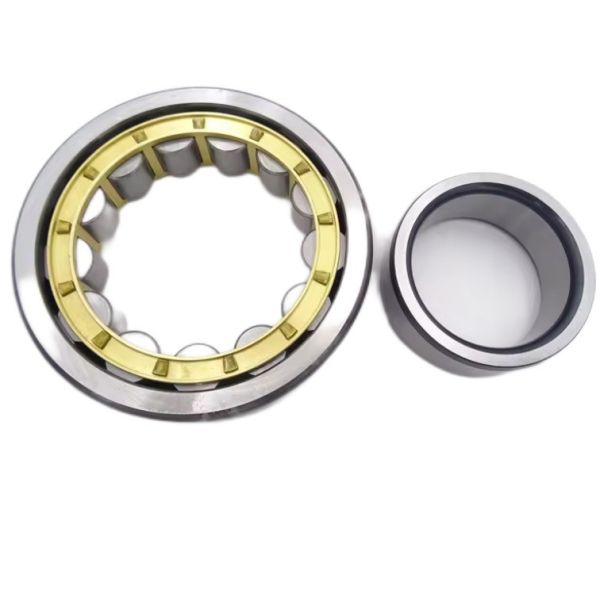 Quality Stable Performance N219EM NU219EM NJ219EM Cylindrical Roller Bearing with Copper Cage for sale
