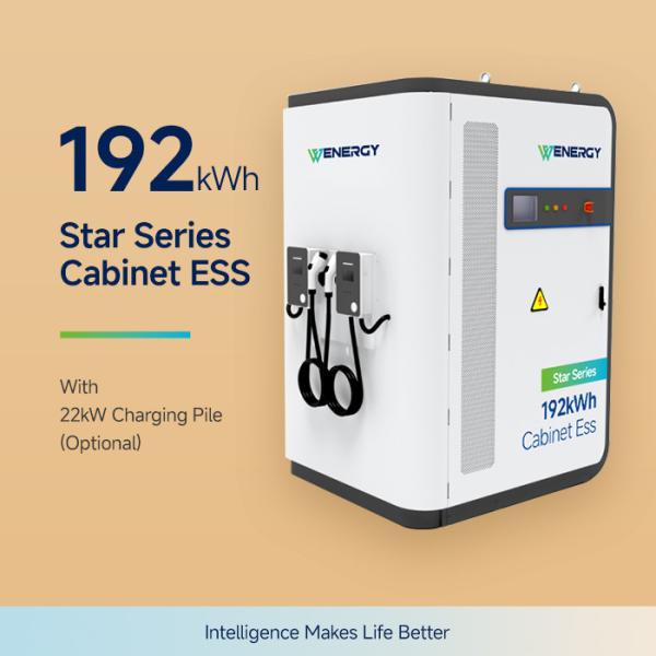 Quality 192kWh Solar Diesel Hybrid Energy Storage Cabinet With Cloud Security Warning for sale