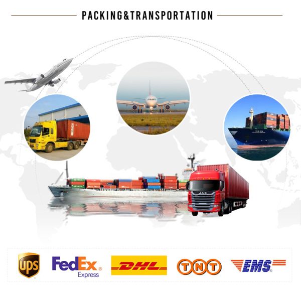 Quality Daily 2100g Filling Capacity LZ-1 Automatic Flake Ice Machine with 400kg Ice for sale