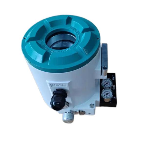 Quality Split Hart Control Valve Positioner Single Acting C41DY-RSA for sale