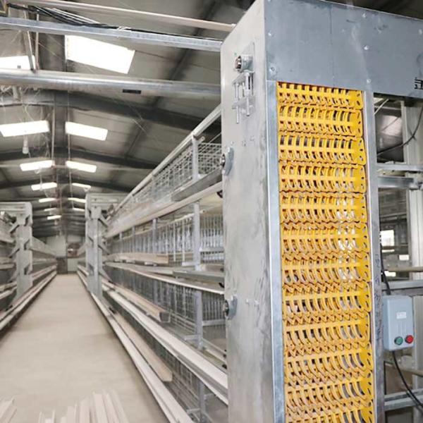 Quality Coop Rearing Poultry Farming Battery Cage System , A Type Layer Cages For for sale
