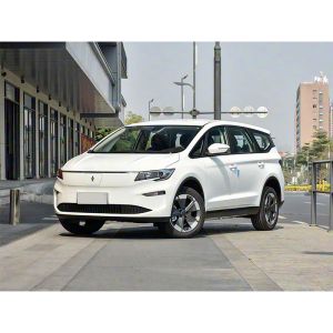 Quality For Livan 8 Ruilan 8 Electric MPV 7 Seat Standard Endurance Version New Energy for sale