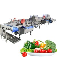 Quality Fruit Vegetable Washing Machine for sale