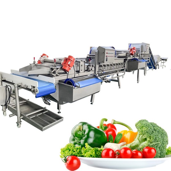 Quality Diced Onions 2000kg/H Fruit Vegetable Washing Machine for sale