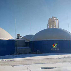 Quality MBR Membrane Bioreactor Anaerobic Reactor EGSB Wastewater Treatment for sale