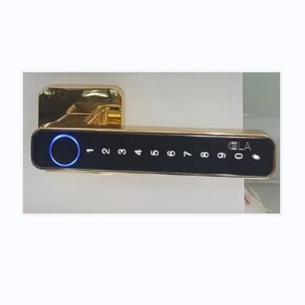 Quality High Security Residential Door Locks Electronic Entry Door Locks for sale