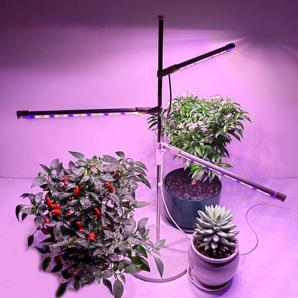 Quality Bar Shaped Full Spectrum 10w Grow Light Red Blue Lamp Indoor Growing for sale