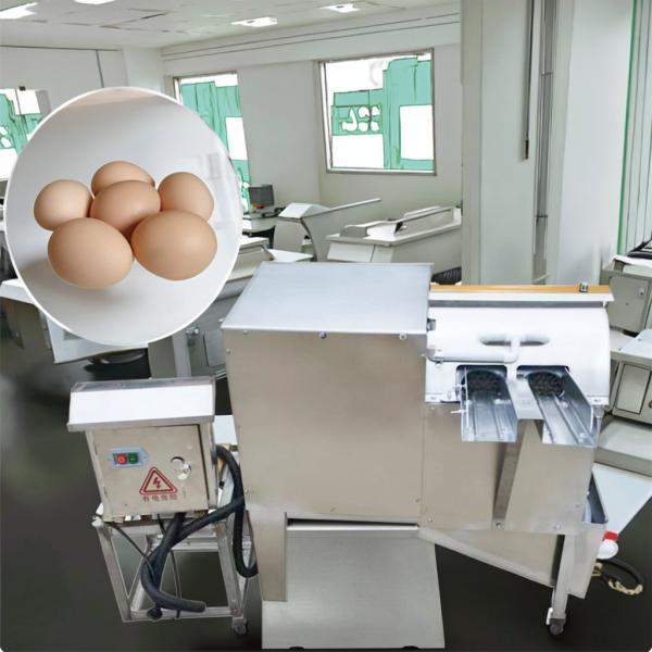 Quality Steel Type Chicken Cleaner Washing Machine Duck Egg Brush Washer for sale