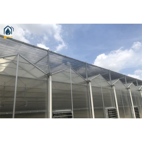 Quality Double Wall Polycarbonate Greenhouse Corrosion Resistant Steel Framed Greenhouse Customized for sale