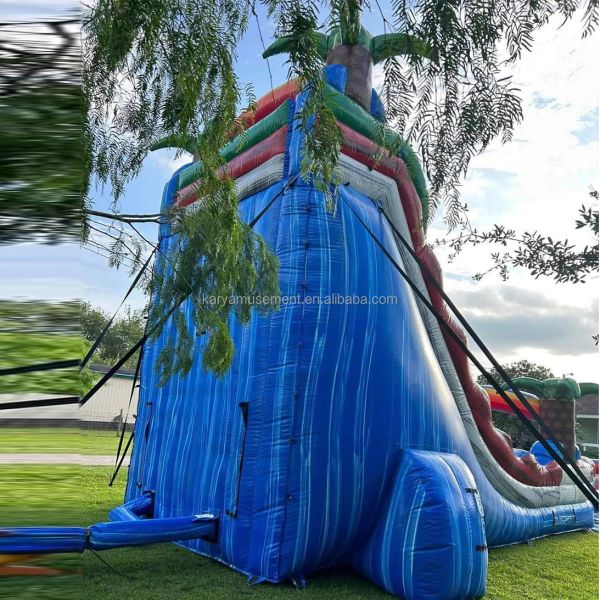 Quality Extended Double Slide Red Thrilling Inflatable Combo Jumping Castle for Aquatic for sale