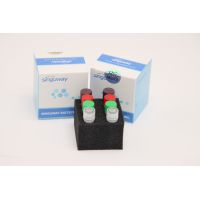 Quality Fluorescent Real Time HCV RT PCR Kit HSV2 Test Kit Laboratory Use CE for sale