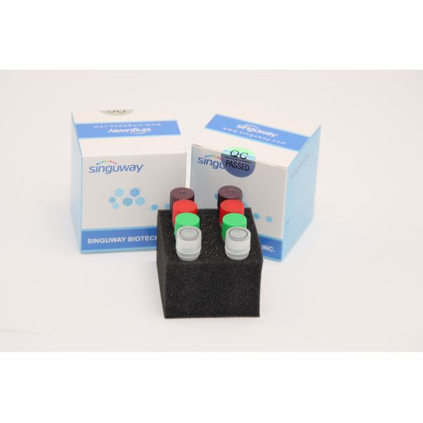 Quality Fluorescent Real Time HCV RT PCR Kit HSV2 Test Kit Laboratory Use CE for sale