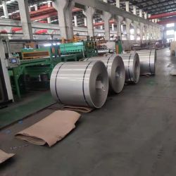 China Factory - Shandong Duohe Import And Export Co., Ltd.