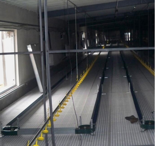 Quality Chain Feeder System Chicken Breeding Equipment for sale