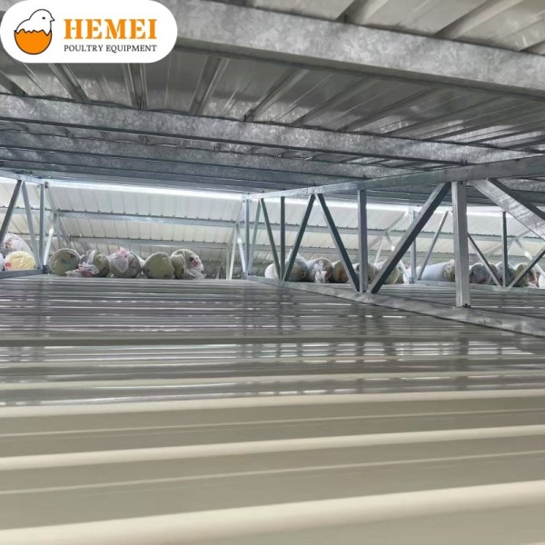 Quality CCS4 Floor Type Broiler Equipment for sale