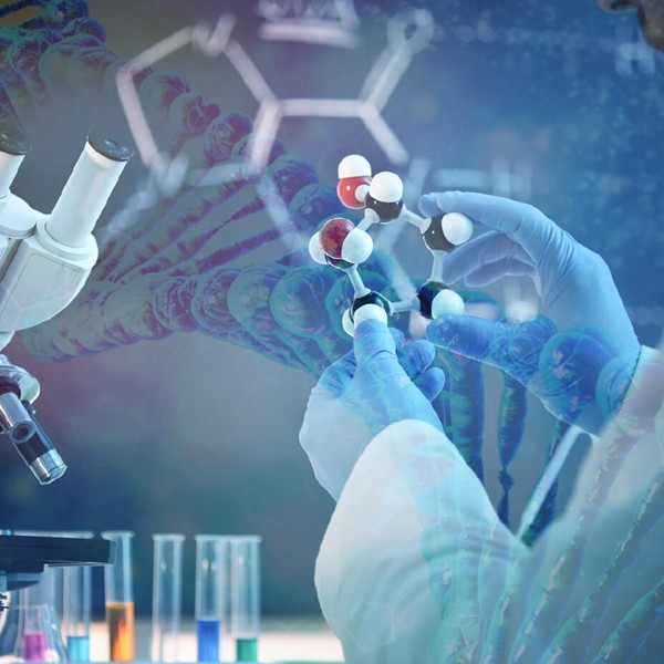 Quality Get Ahead of the Competition: Harnessing the Full Potential of Candida Antarctica Lipase B for sale