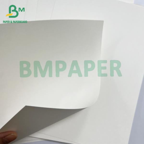 Quality Noddles Bowl 225gsm Waterproof PE Coated Coffee Cup Paper Roll for sale