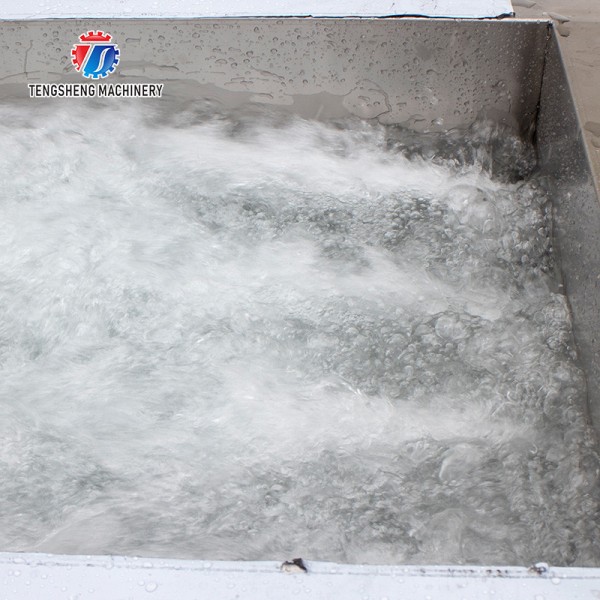 Quality 3KW Bubble Circulating Surfing Fruit And Vegetable Washing Machine Ozone for sale