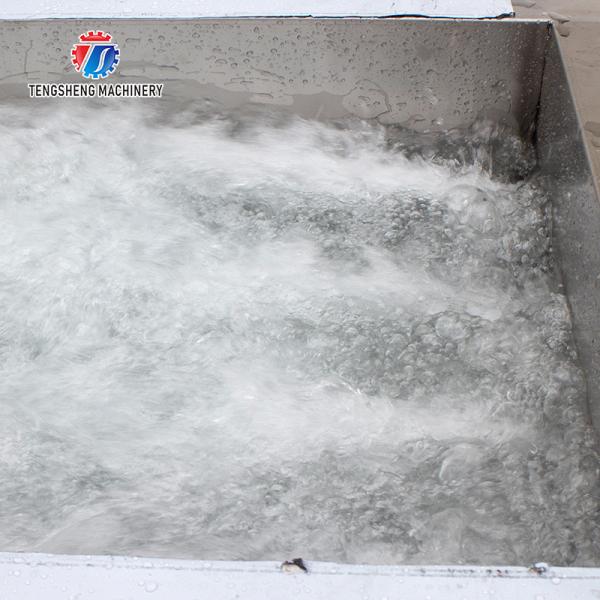 Quality Sludge Stripping Kumquat Fruit Vegetable Washing Machine Water Pump Surfing for sale