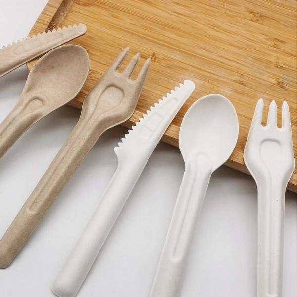 Quality Biodegradable Bagasse Eco Friendly Disposable Cutlery 141.7mm Compostable Forks for sale