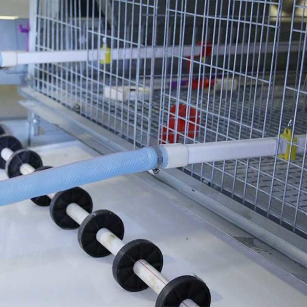Quality Galvanized Steel A Cage For Poultry , Automatic Ladder Layer Chicken Cage for sale