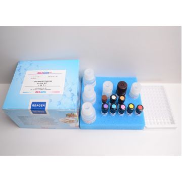 Quality Research Use Vitamin Test Kit / Rapid Vitamin B12 ELISA Test Kit for sale