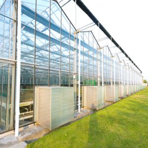 Quality Waterproof Tempered Glass Greenhouse Heat Preservation Energy Saving Laminated for sale