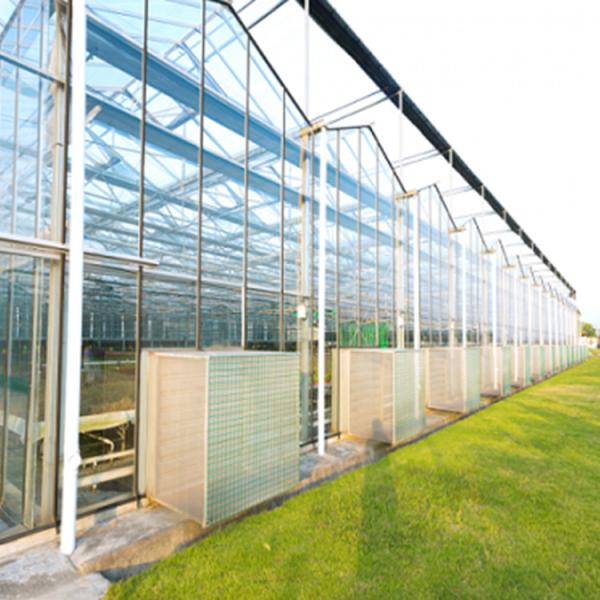 Quality Waterproof Tempered Glass Greenhouse Heat Preservation Energy Saving Laminated Glass Greenhouse Powder Coating Aluminum Frame Sunroom for sale