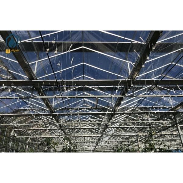 Quality Customized Glass Commercial Greenhouse Vegetables Flowers Seedlings Green House For Agriculture for sale