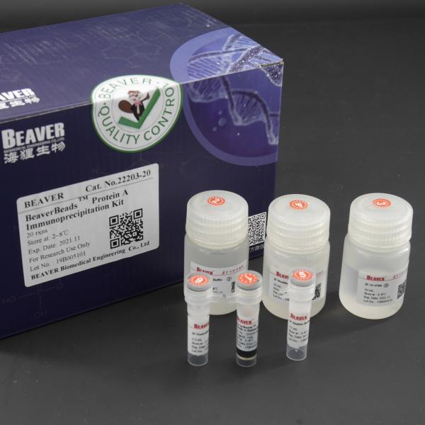 Quality 10 mg / mL Protein A  Immunoprecipitation Kit 20 Reactions for sale