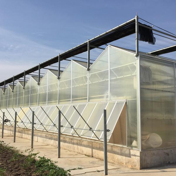 Quality Multi-Span Agricultural Greenhouses for Sustainable Fruits and Vegetables for sale
