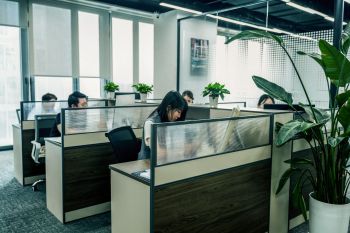 China Factory - SHAN DONG JINTAI COMMERCE CO., LTD